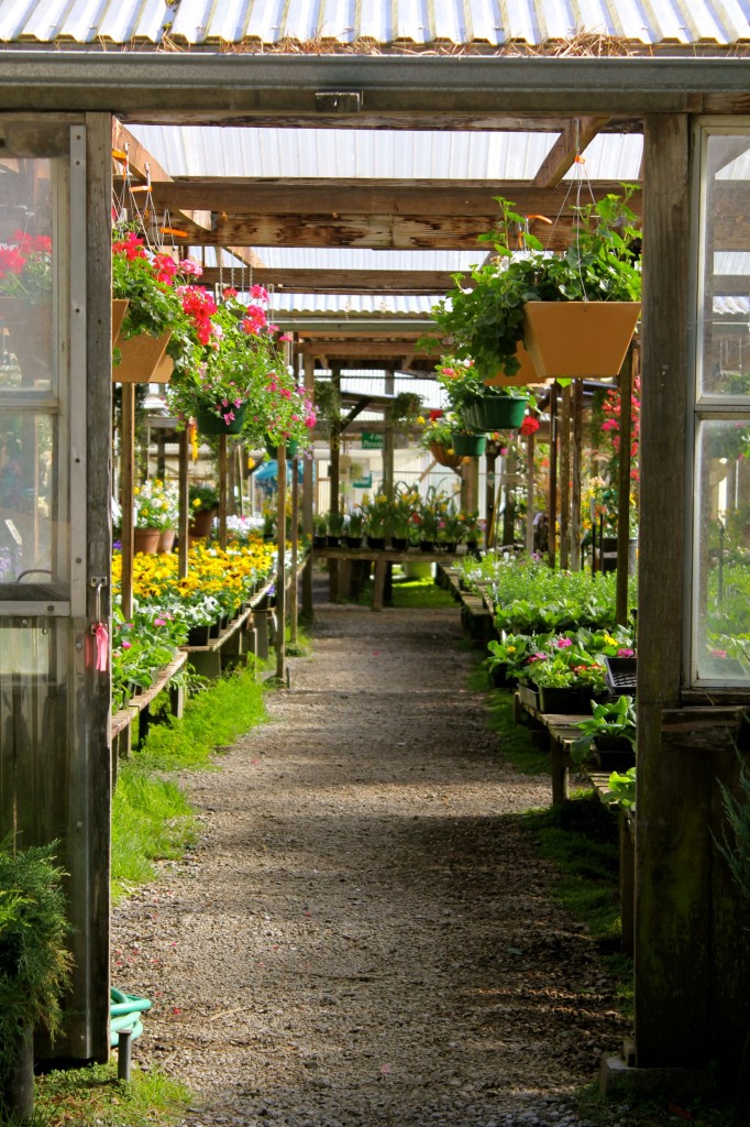 January | 2013 | Tal-Forn